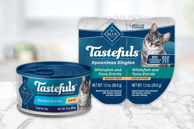 Best High Calorie Cat Food For Weight Gain Wet And Dry Brand Reviews ...