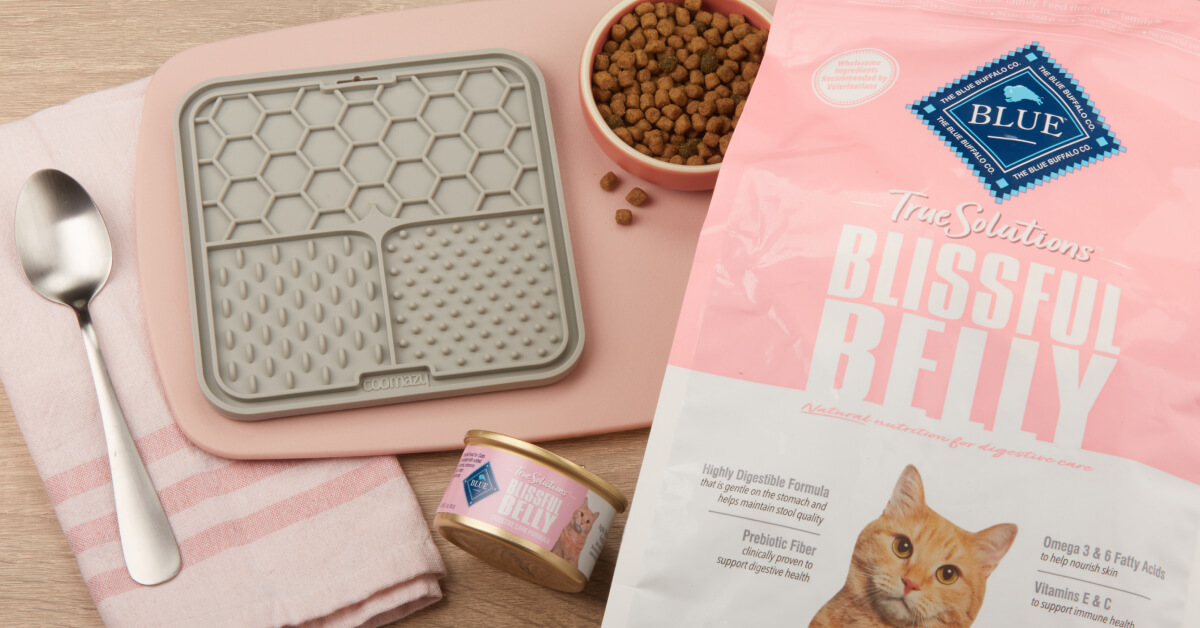 How to Make a Snack for Your Sensitive Cat | Cat Recipes