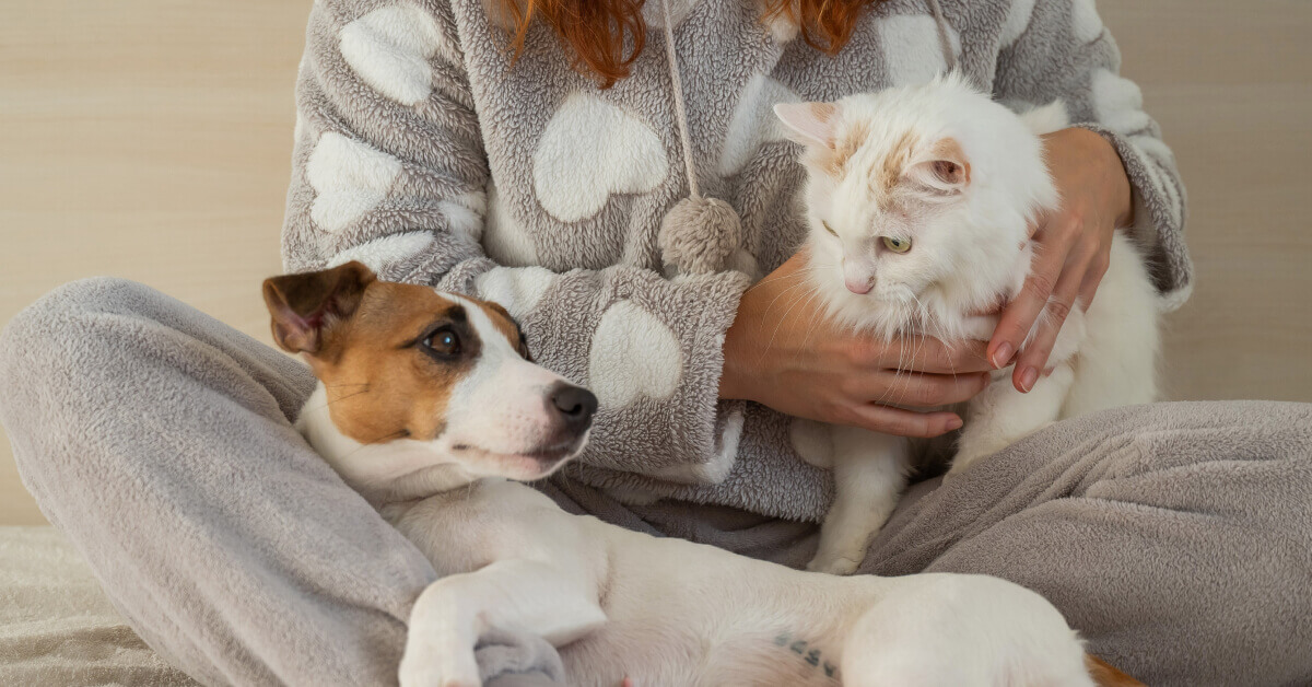 How Do Pets Help Our Mental Health?